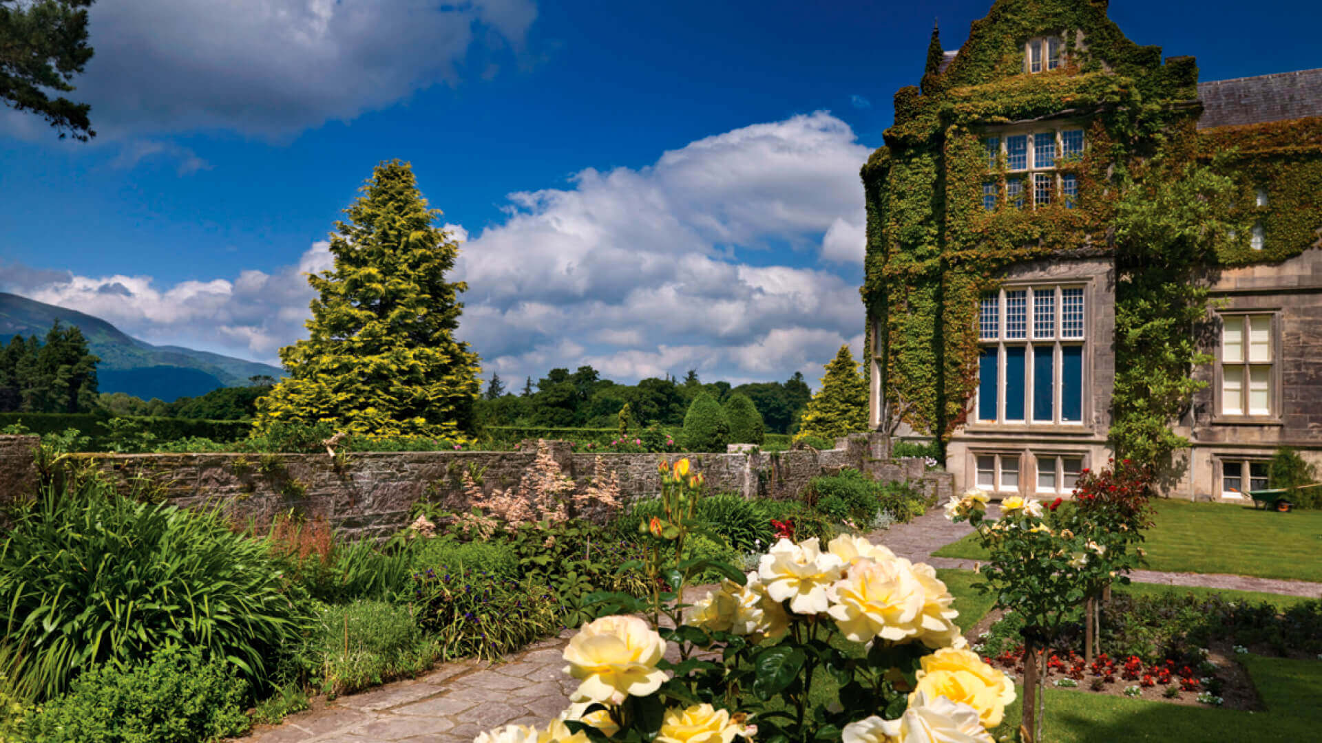 Spring into Killarney this March & April - Destination Killarney