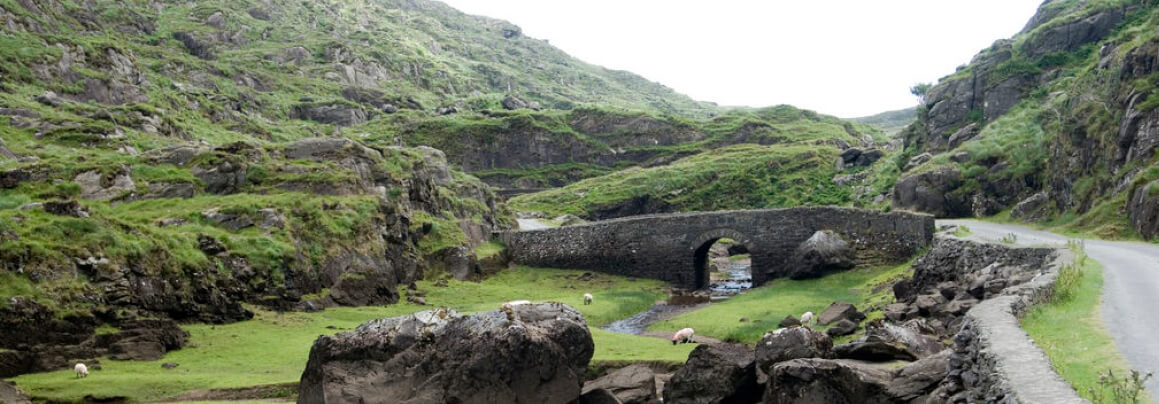 Sample Head – Destination Killarney - Destination Killarney